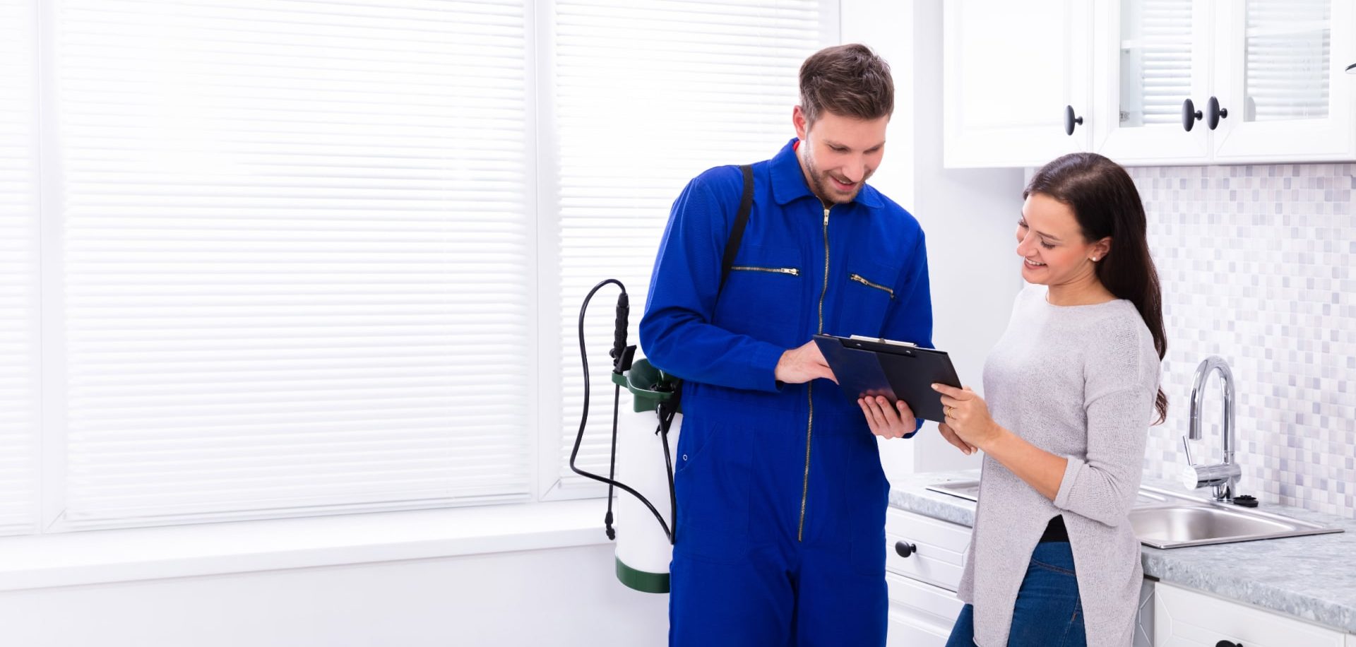 DIY Tips for Termite Control in Phoenix, AZ